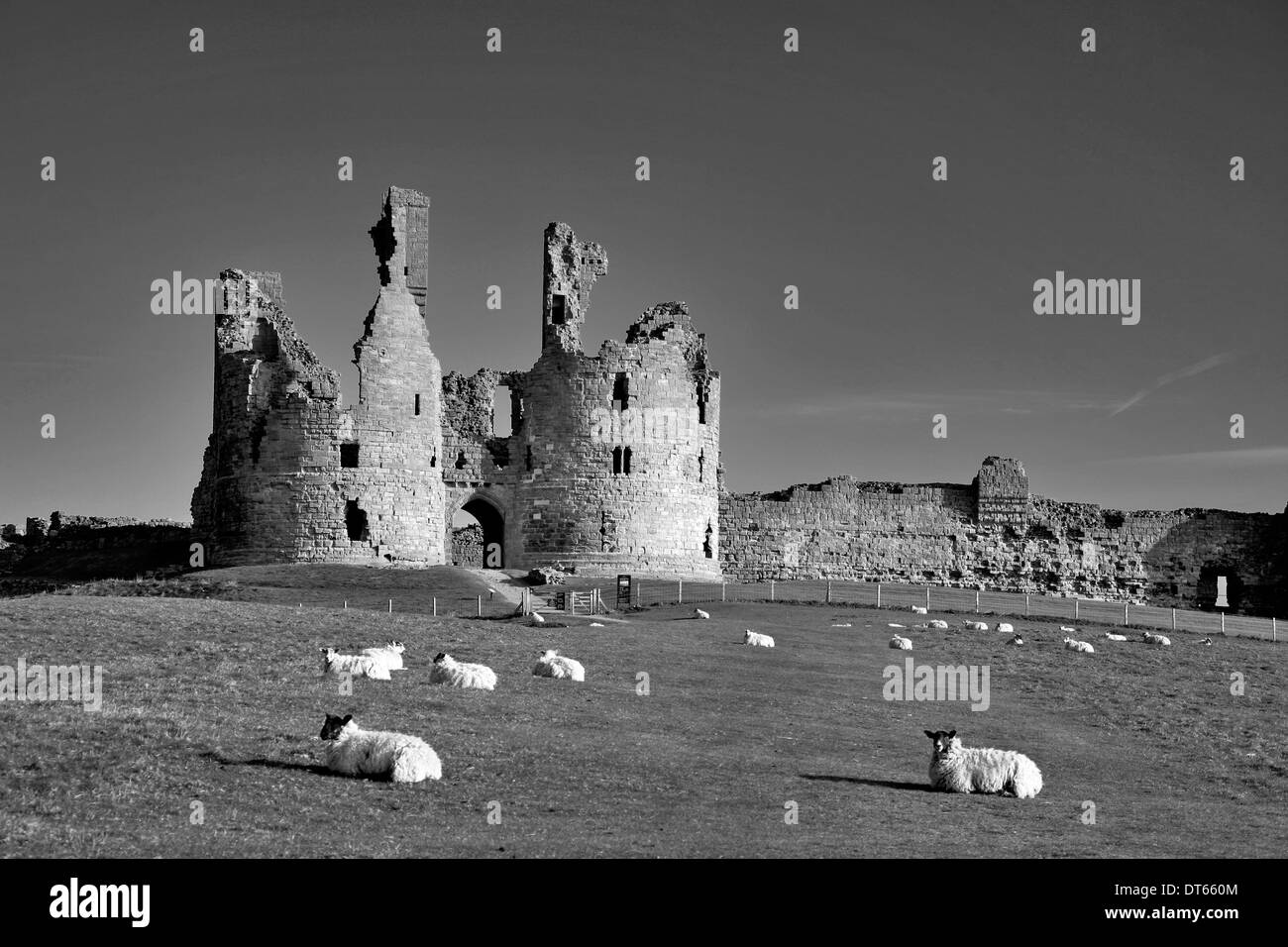 Dunstanburgh castle beach hi-res stock photography and images - Alamy
