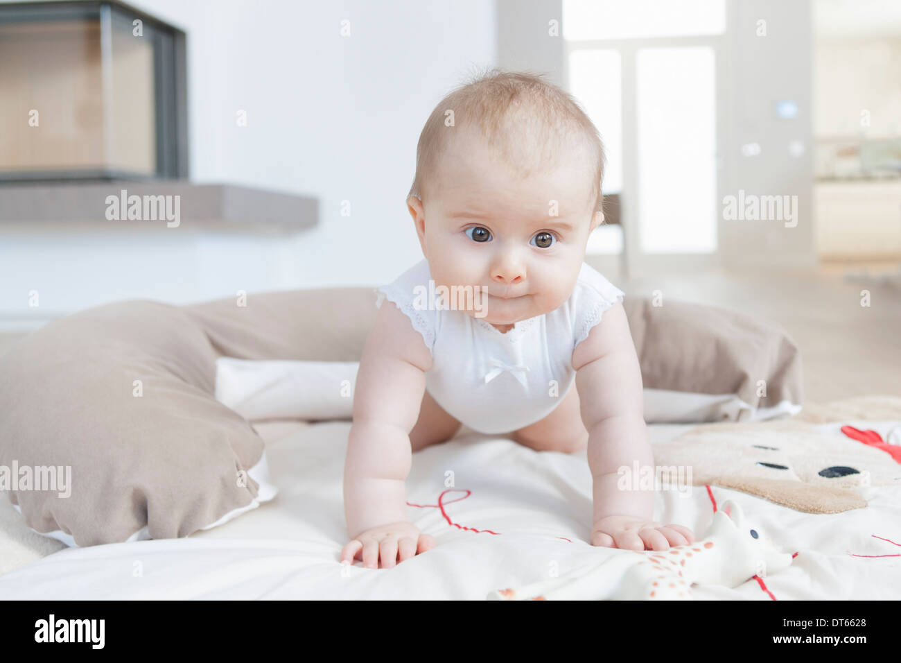 Baby crawling on floor Stock Photo - Alamy