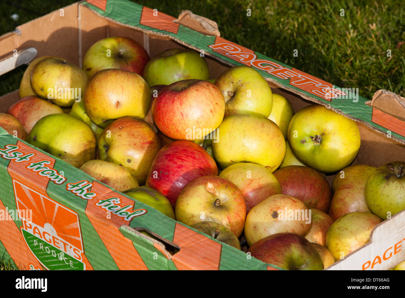 Apples box hi-res stock photography and images - Alamy