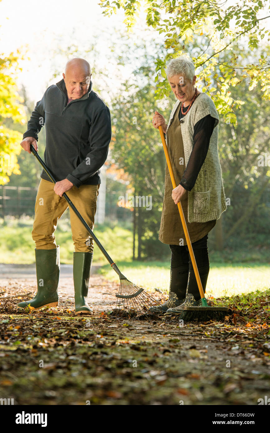 Leaves on path hi-res stock photography and images - Alamy