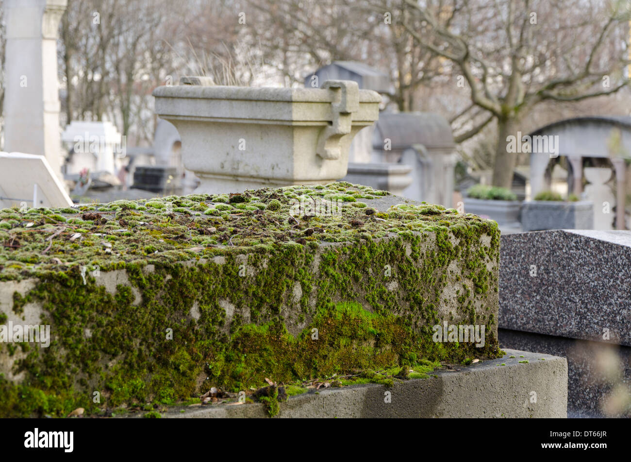 Moss-covered tombstone at the Pere Lachaise, the largest Cemetery in ...