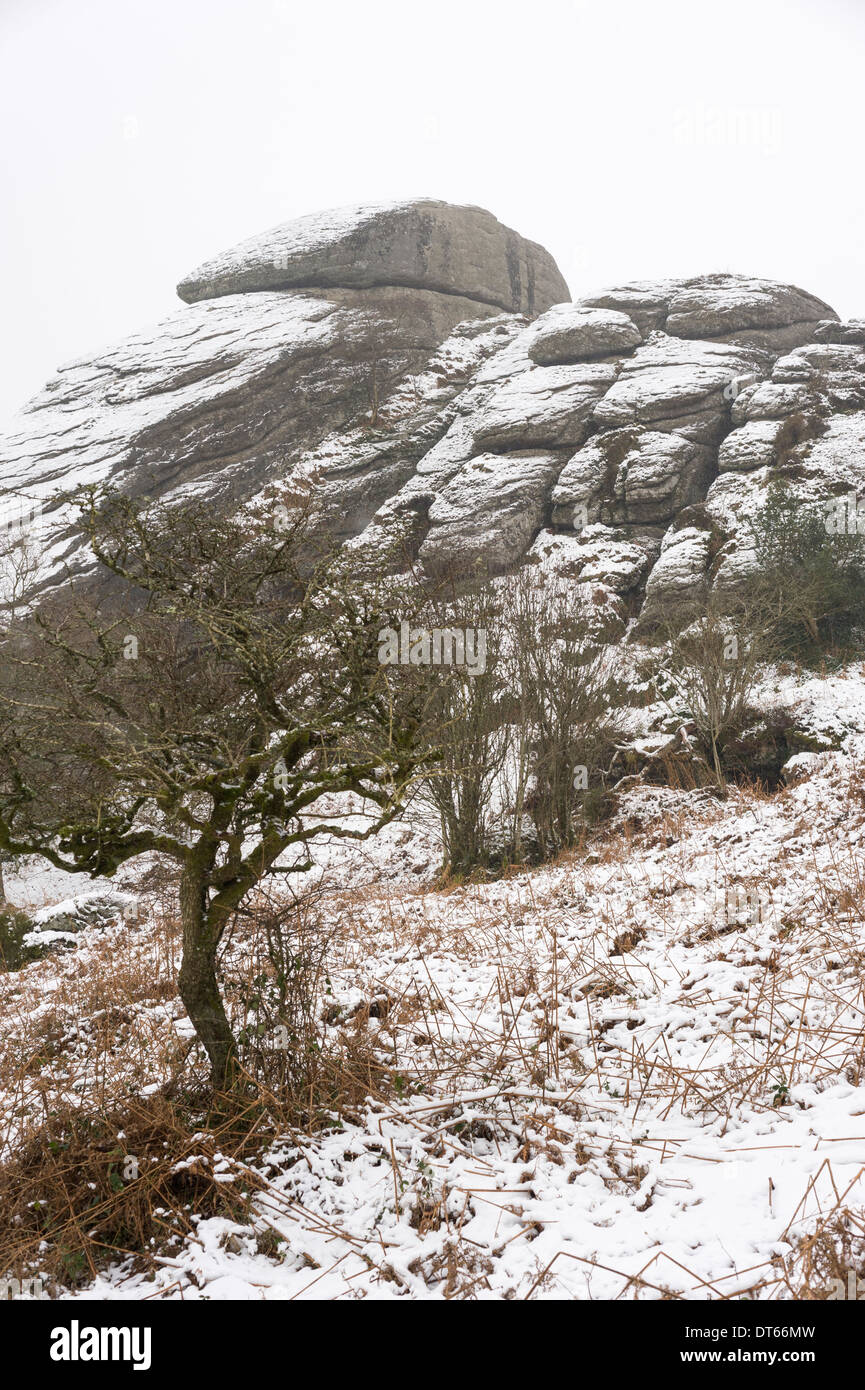 Dartmoor rock formations hi-res stock photography and images - Alamy