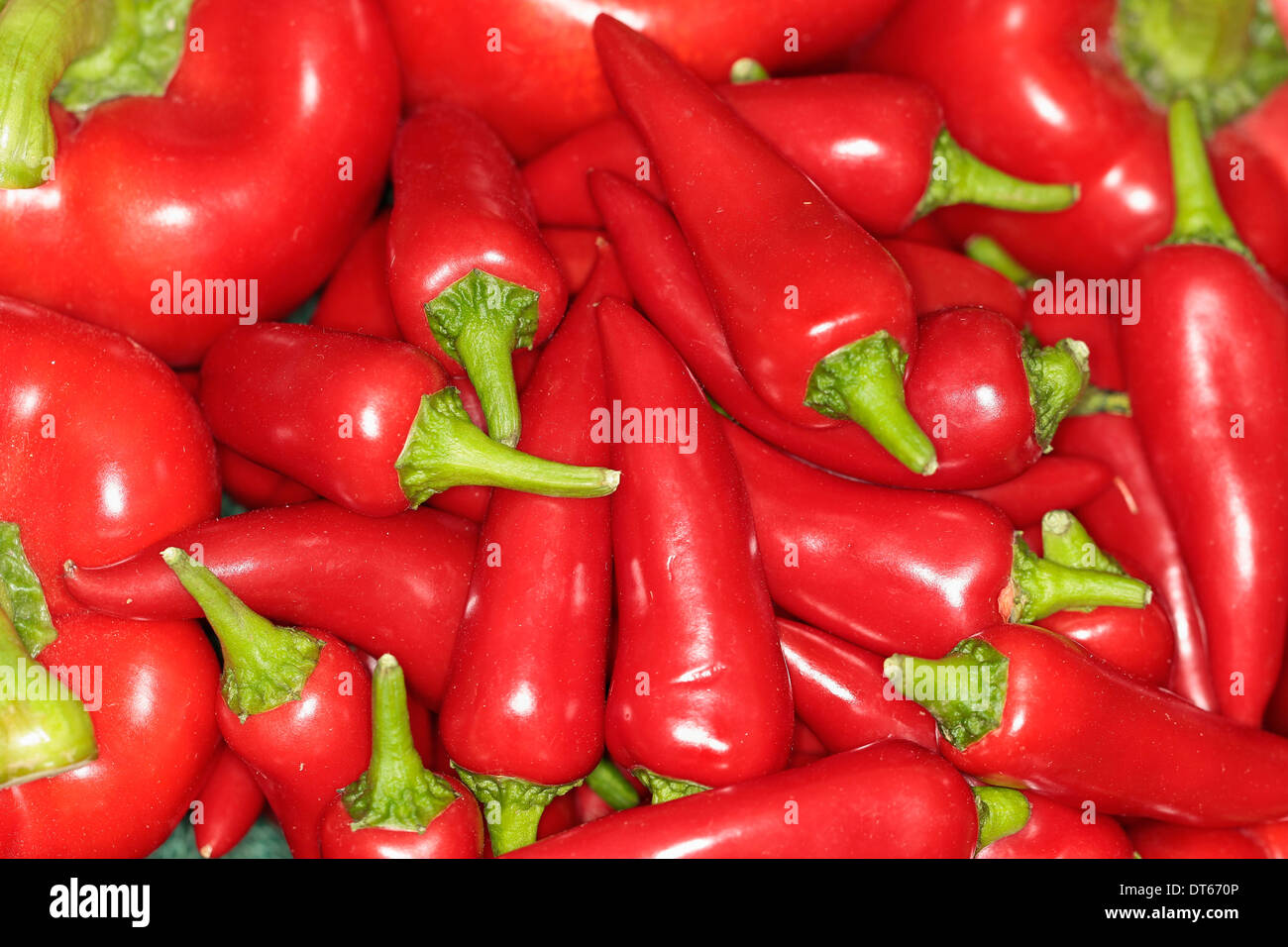 Chilli close up hi-res stock photography and images - Alamy