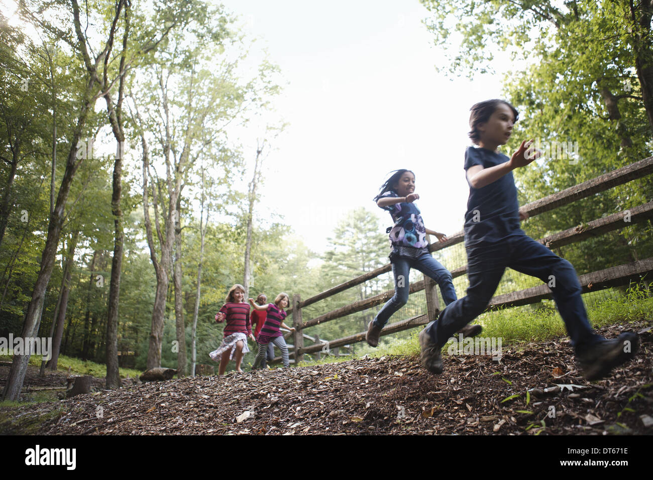 Three children playing around the farm, running around a paddock with ...