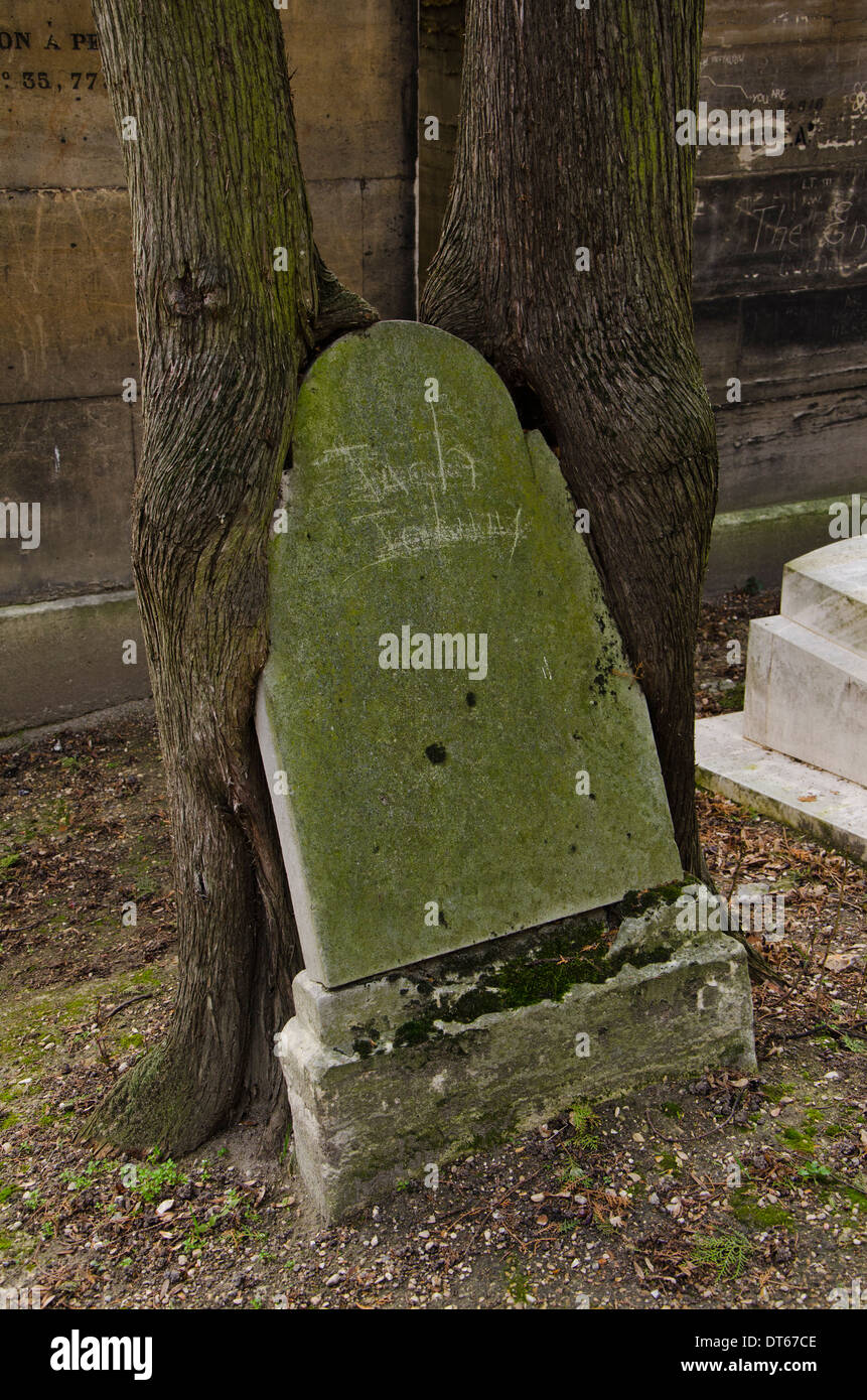 Tree trunk grown around headstone at the Pere Lachaise, the largest ...