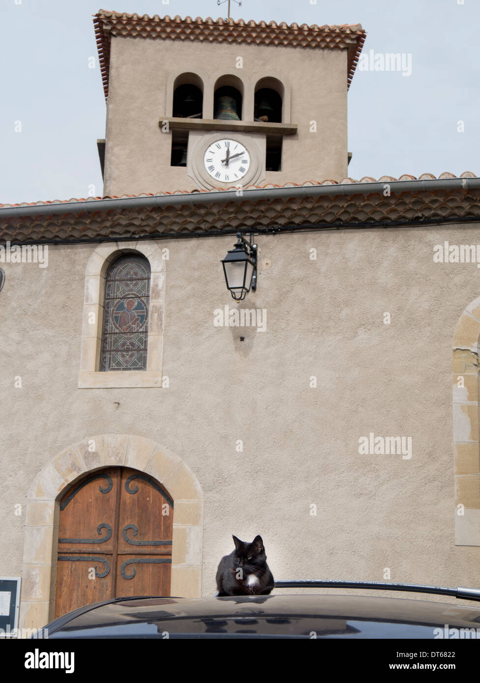 A church cat relaxes in the sun Stock Photo - Alamy