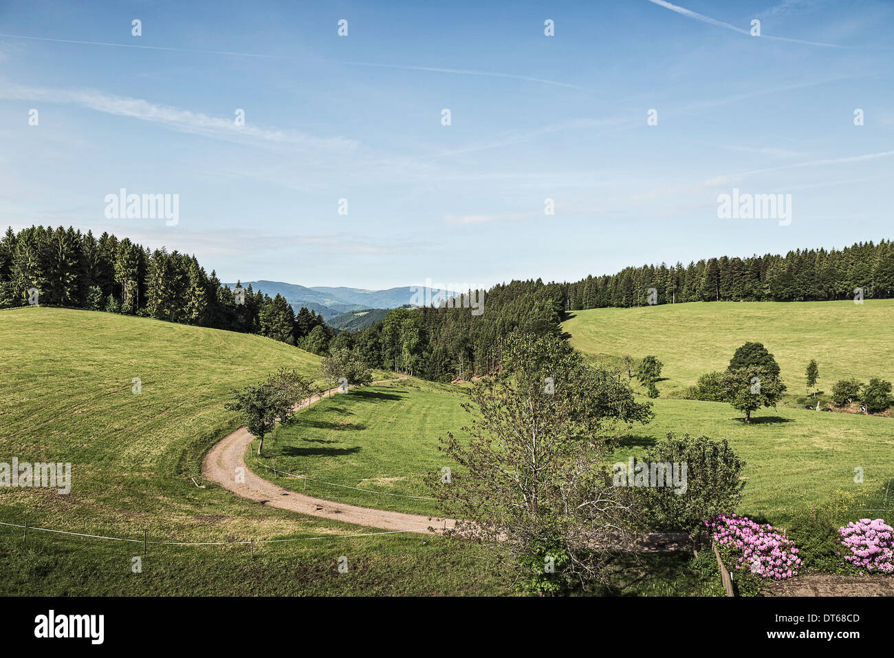 Track and fields hi-res stock photography and images - Alamy