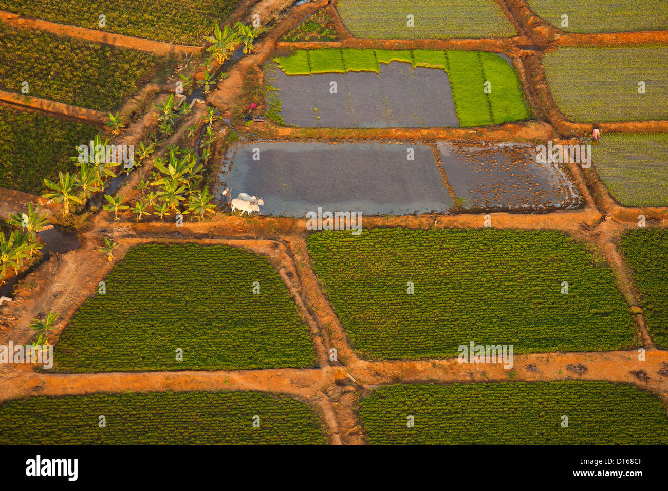 Rice paddies aerial hi-res stock photography and images - Alamy