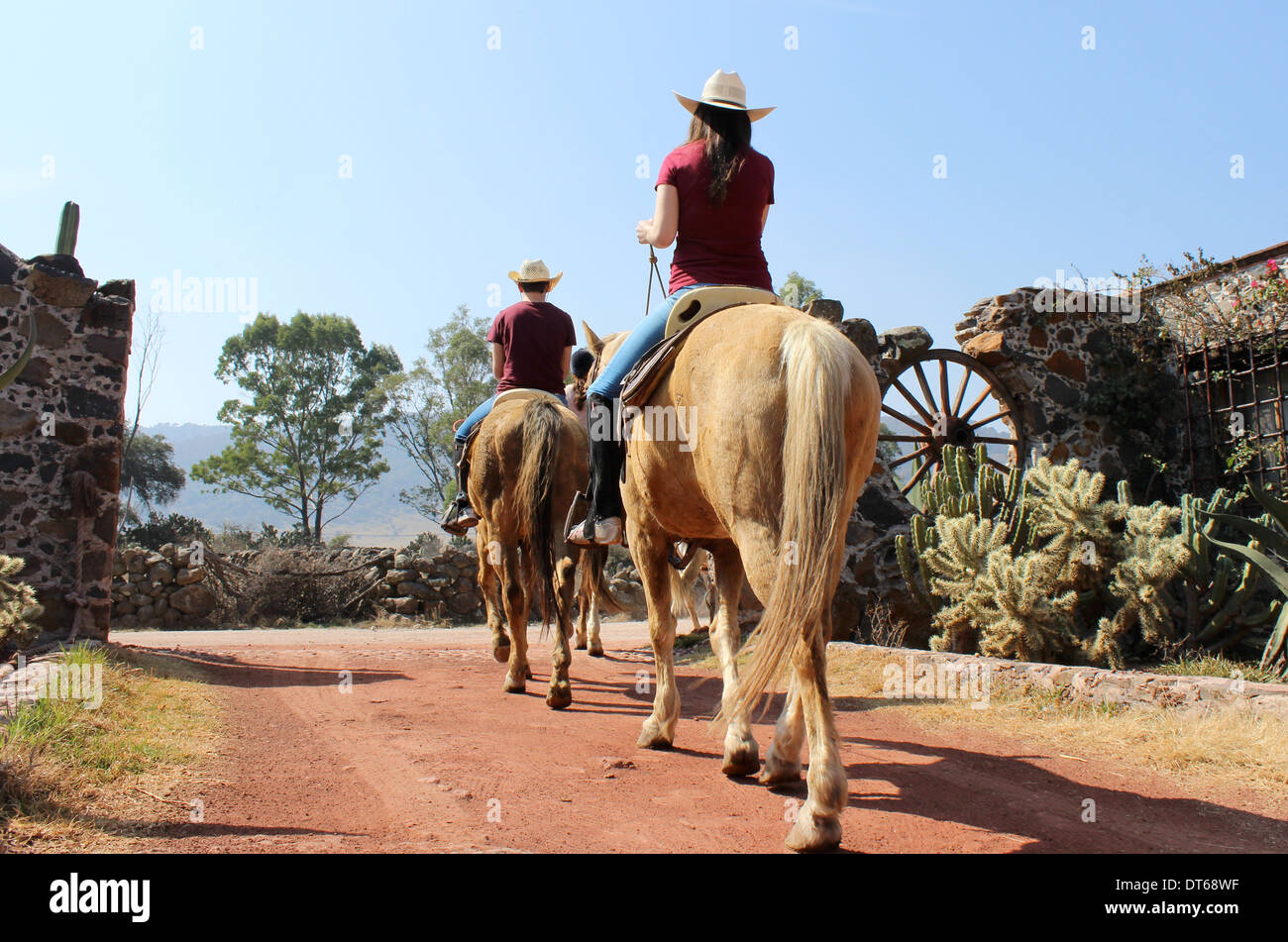Mexican Ranch Wallpaper