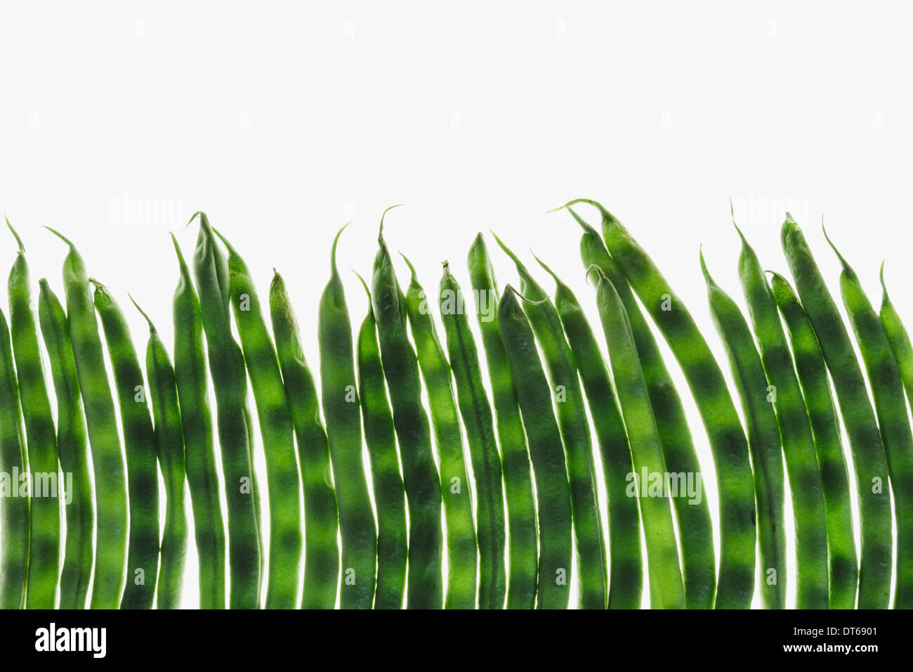 Organic green string beans on white background Stock Photo - Alamy