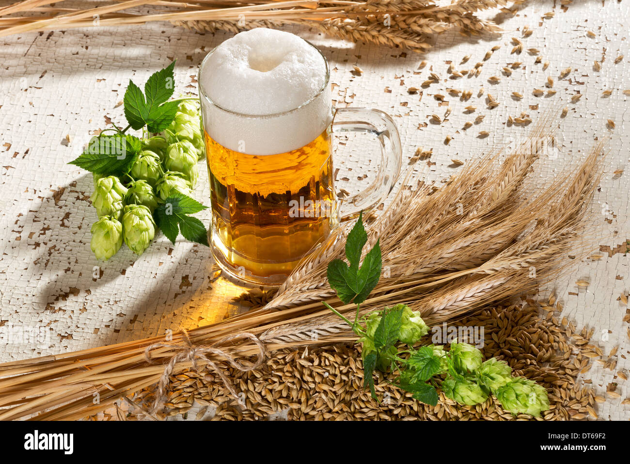Still life with glass of beer and raw material for beer production ...
