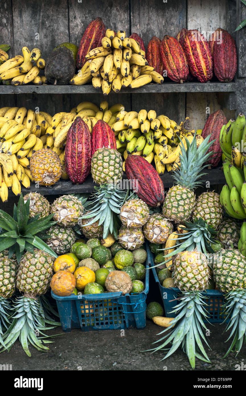 Cocoa fruits on the counter of the Latin America street market, Ecuador ...