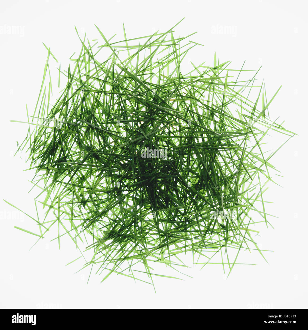 Wheatgrass hi-res stock photography and images - Alamy