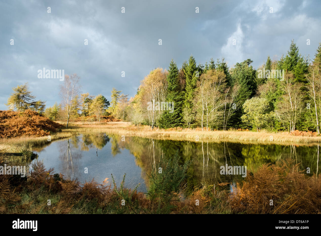 Tarn near Winster in Lake District Stock Photo - Alamy