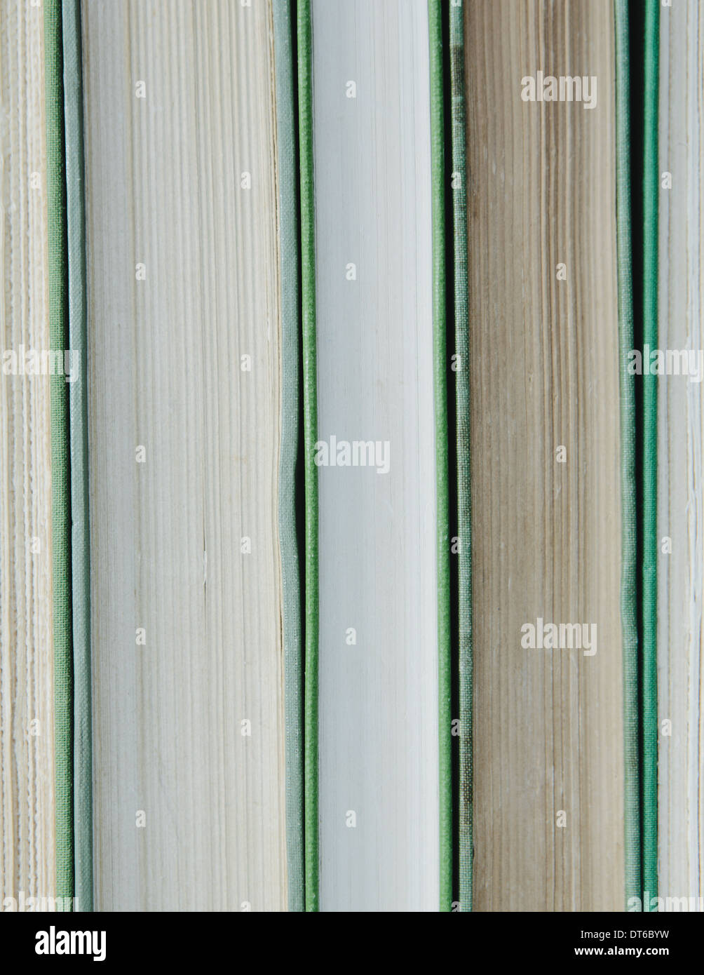 Books in a row, with green hard covers, and white and beige paper edges ...