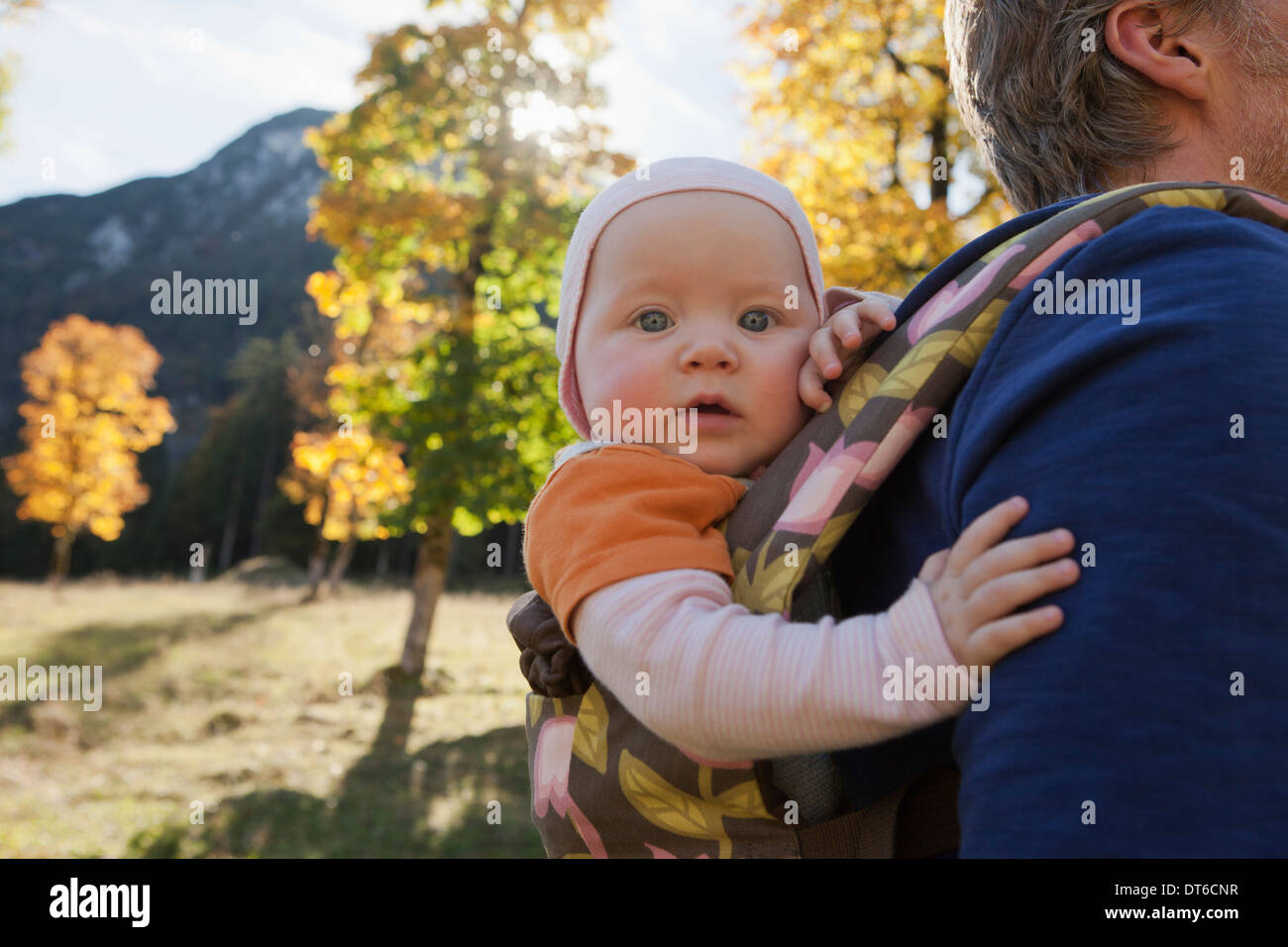 Father carrying baby daughter in carrier Stock Photo - Alamy