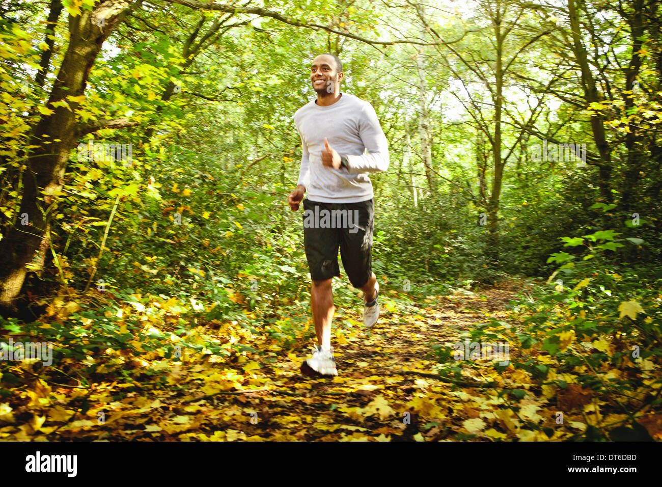 Man jogging in woods Stock Photo - Alamy