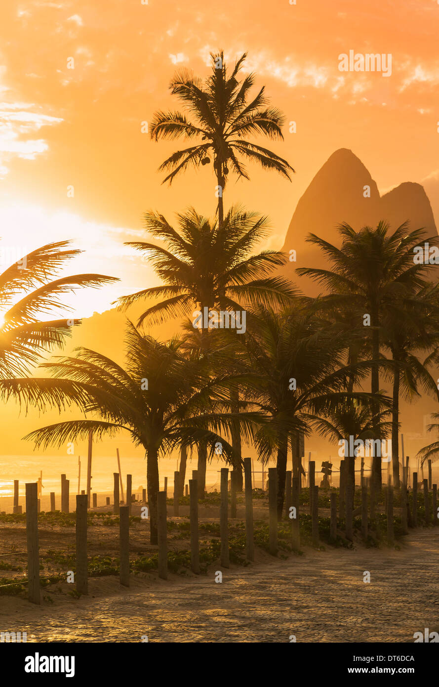 Palm trees at sunset on Ipanema beach, Rio De Janeiro, Brazil Stock ...