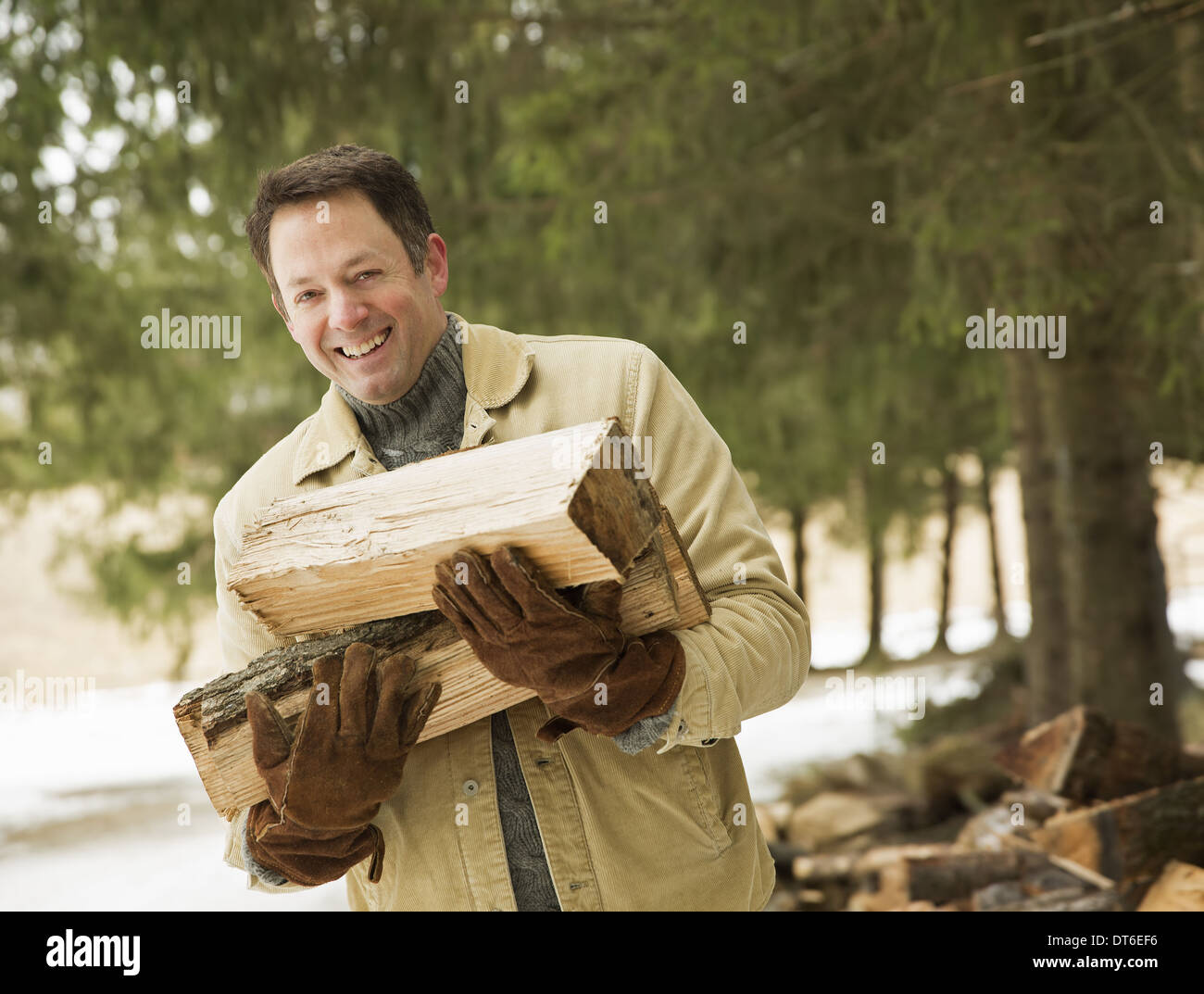 A man outdoors carrying an armful of logs Stock Photo - Alamy