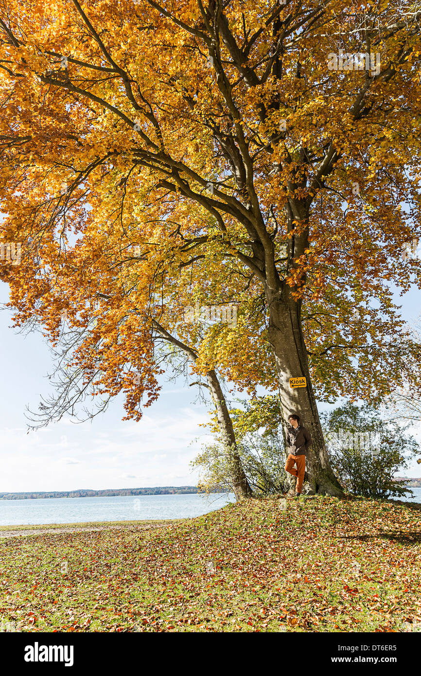 Man standing tree hi-res stock photography and images - Alamy