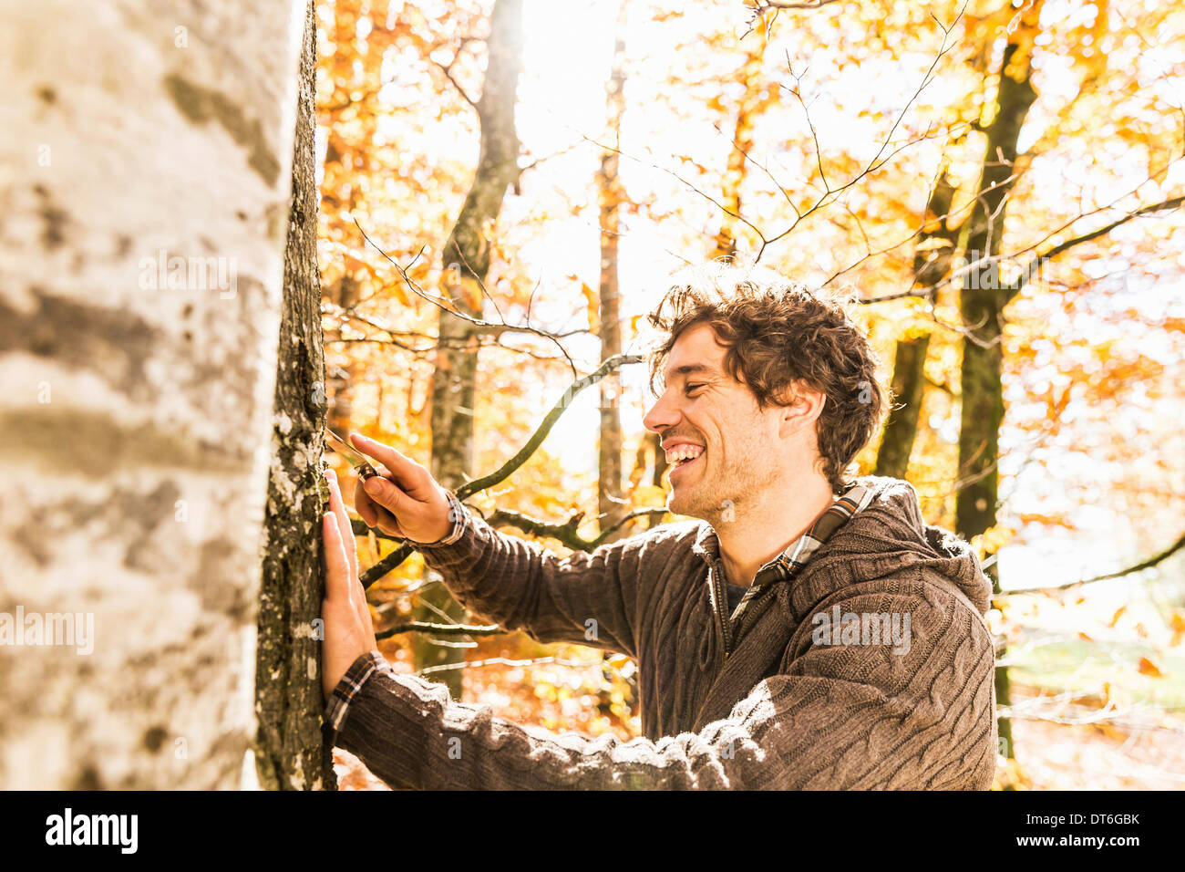 Tree trunk carving hi-res stock photography and images - Alamy