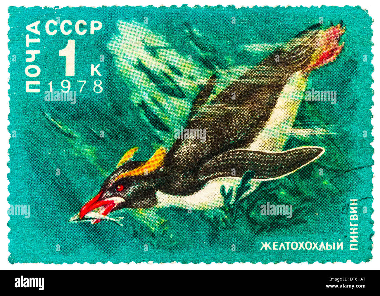 RUSSIA - CIRCA 1978: A stamp printed by Russia, shows Crested penguin ...