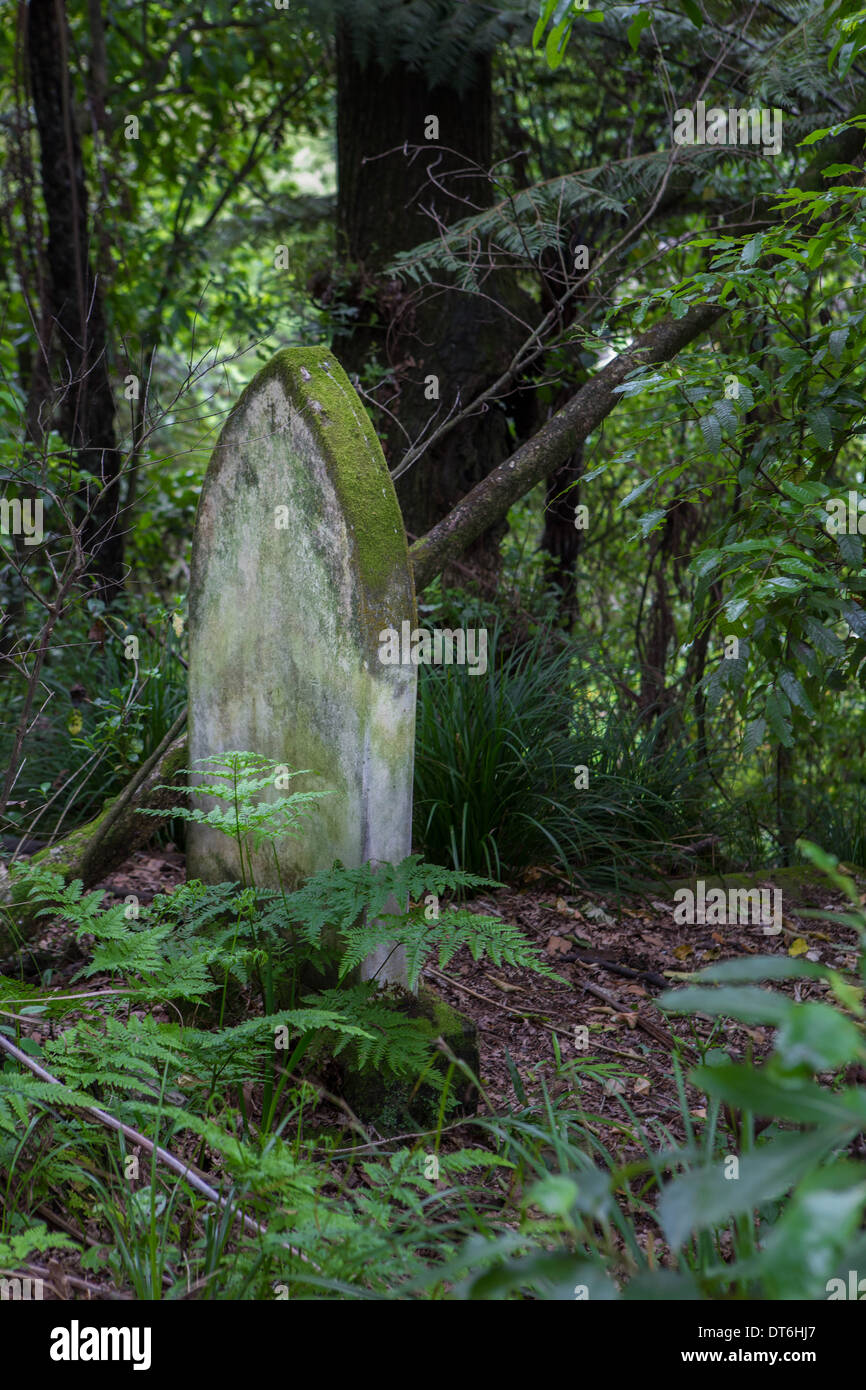 Neglected gravestone hi-res stock photography and images - Alamy