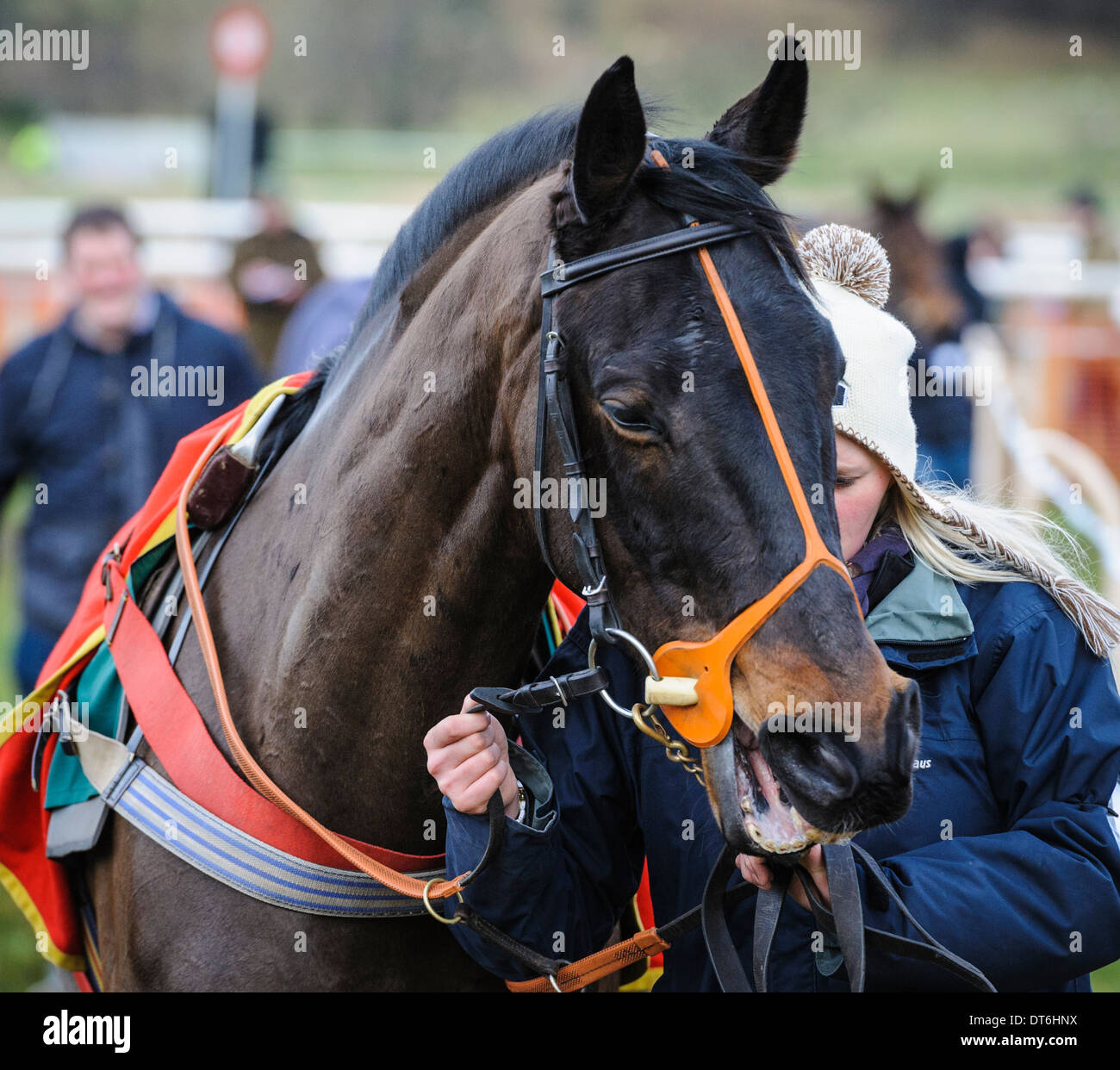 Horse paddock race hi-res stock photography and images - Alamy