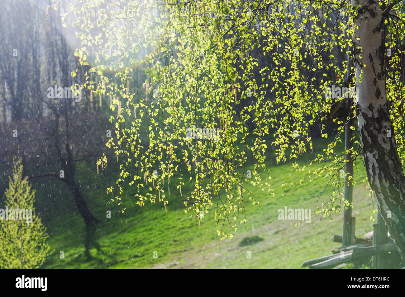 Spring green color hi-res stock photography and images - Alamy