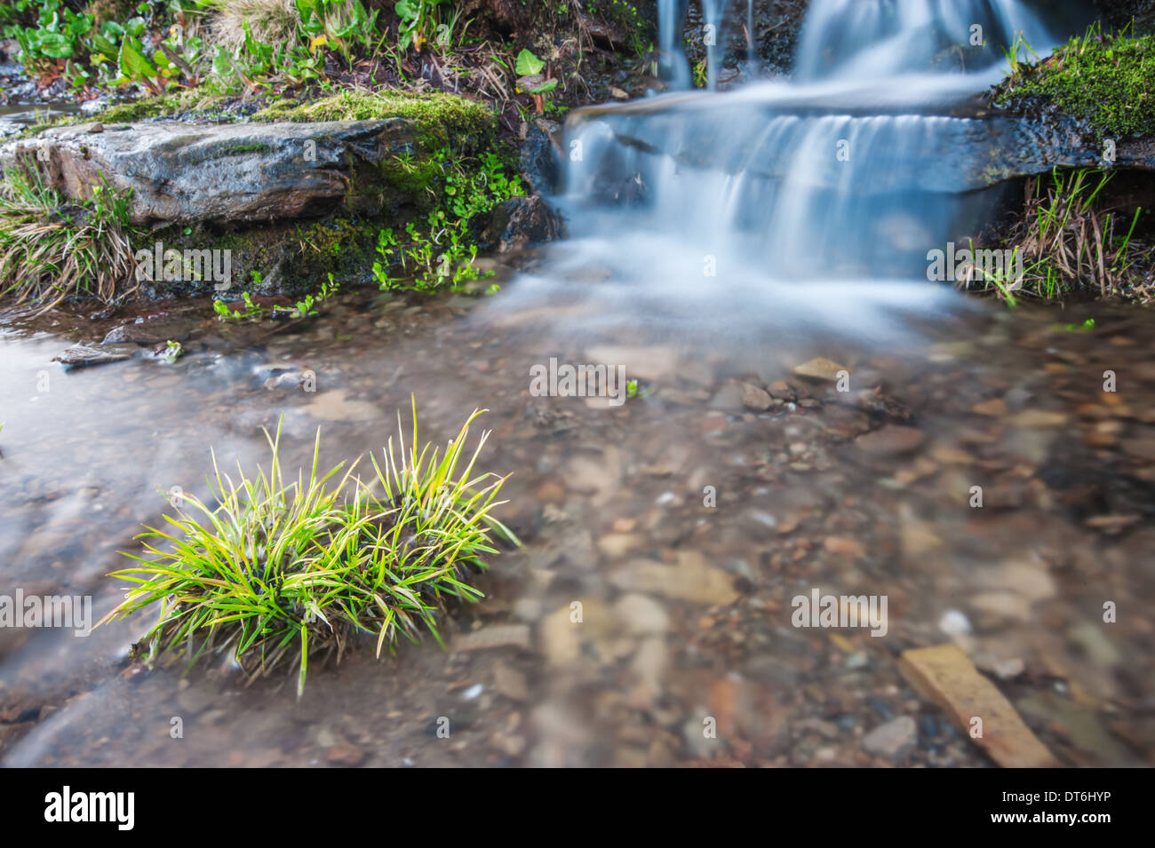 Brook river water hi-res stock photography and images - Alamy