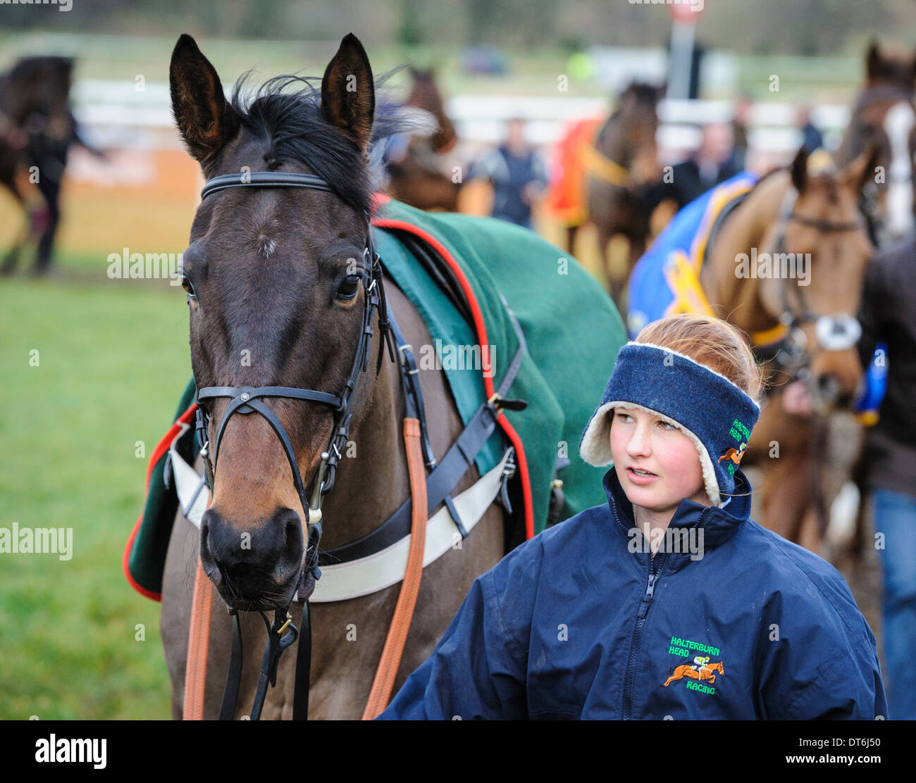 Point to point race horse hi-res stock photography and images - Alamy