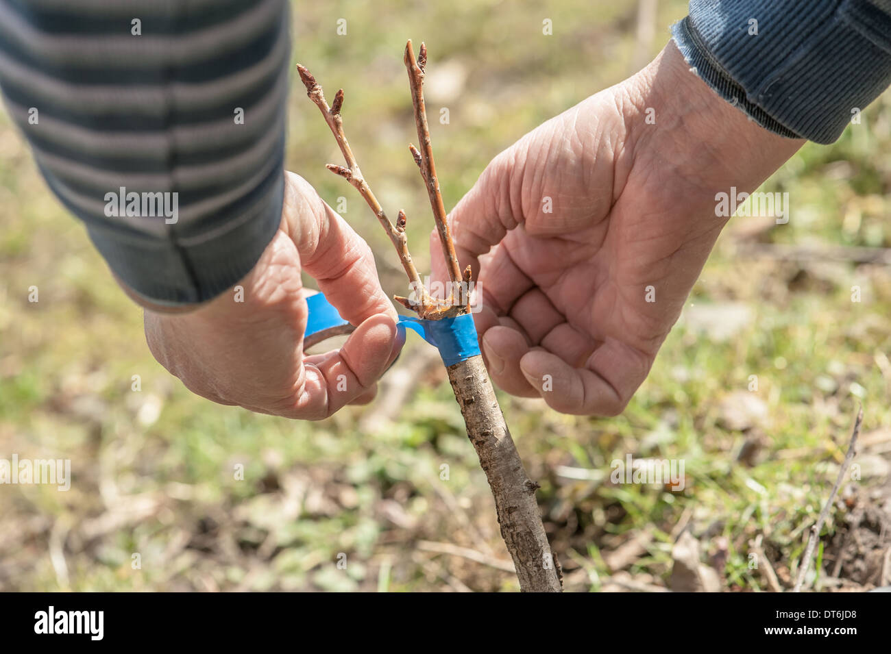 Work all the time hi-res stock photography and images - Alamy