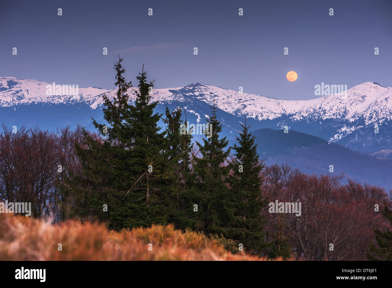 Spring snow sun hi-res stock photography and images - Alamy