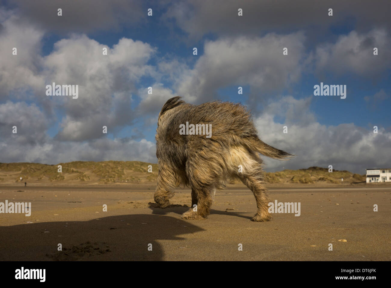 Windy views hi-res stock photography and images - Alamy