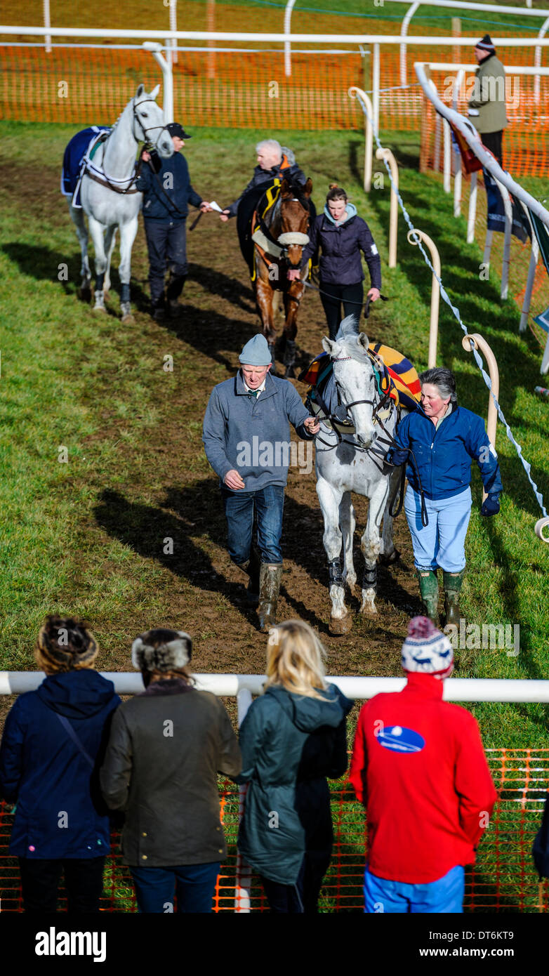 Horses paraded round the paddock before a point to point race at ...