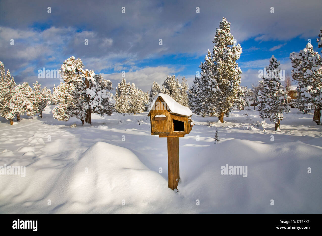 A rural mailbox along a country road after a snow storm in central ...