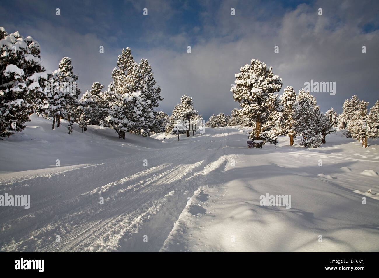A snowy rural road after a major storm in Central Oregon, near Bend ...