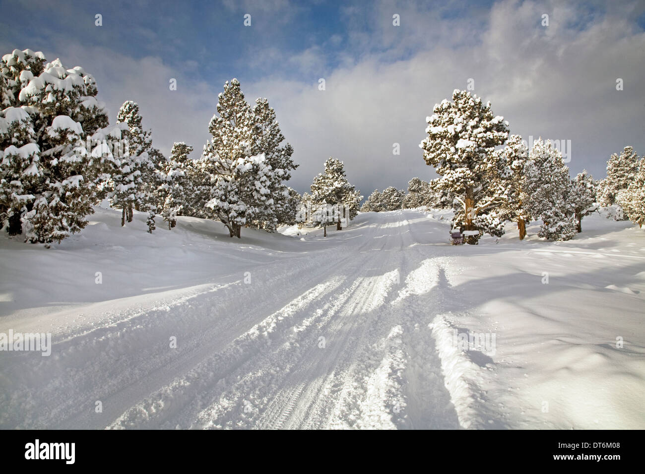 A snowy rural road after a major storm in Central Oregon, near Bend ...