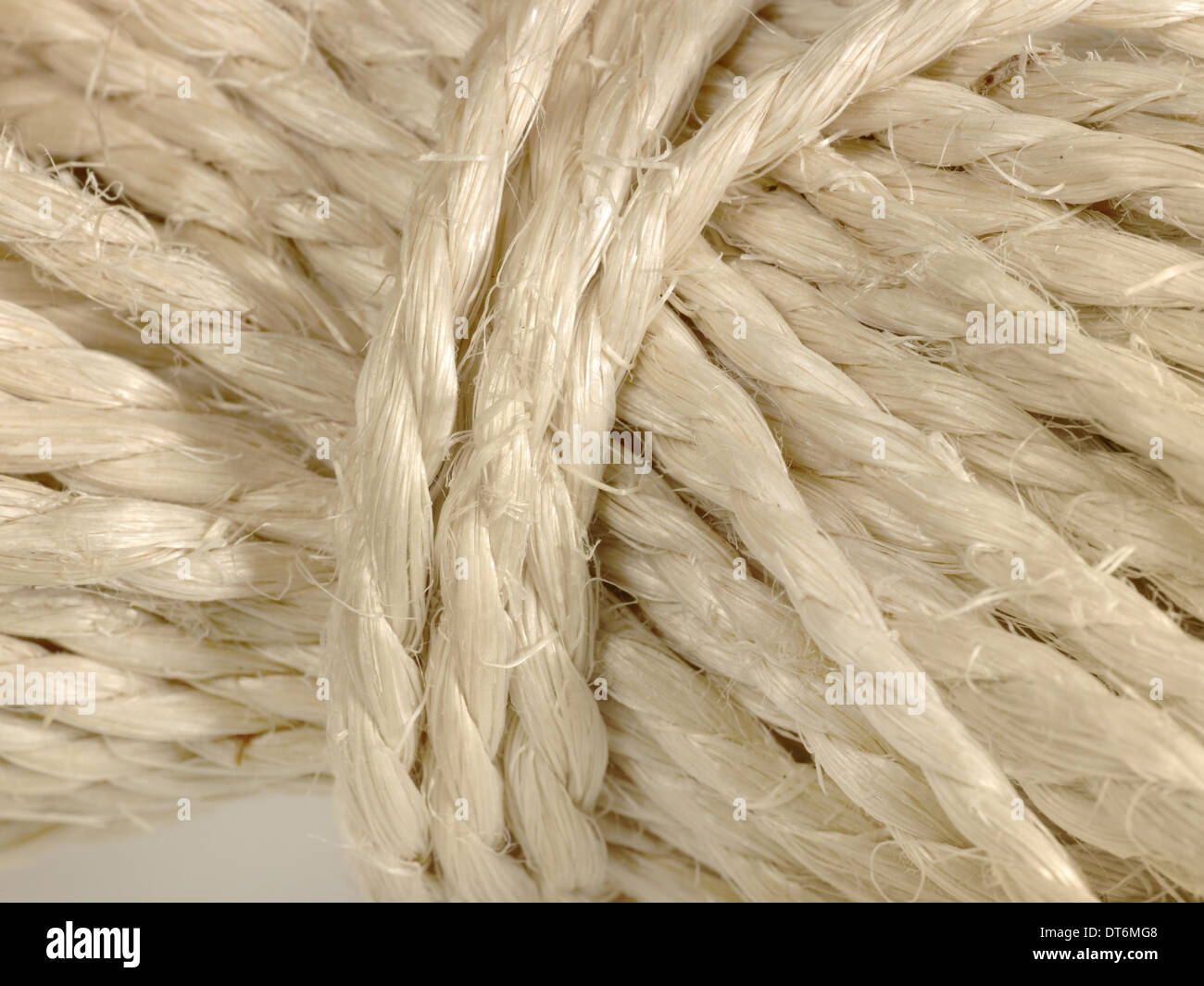 Light lasso hi-res stock photography and images - Alamy