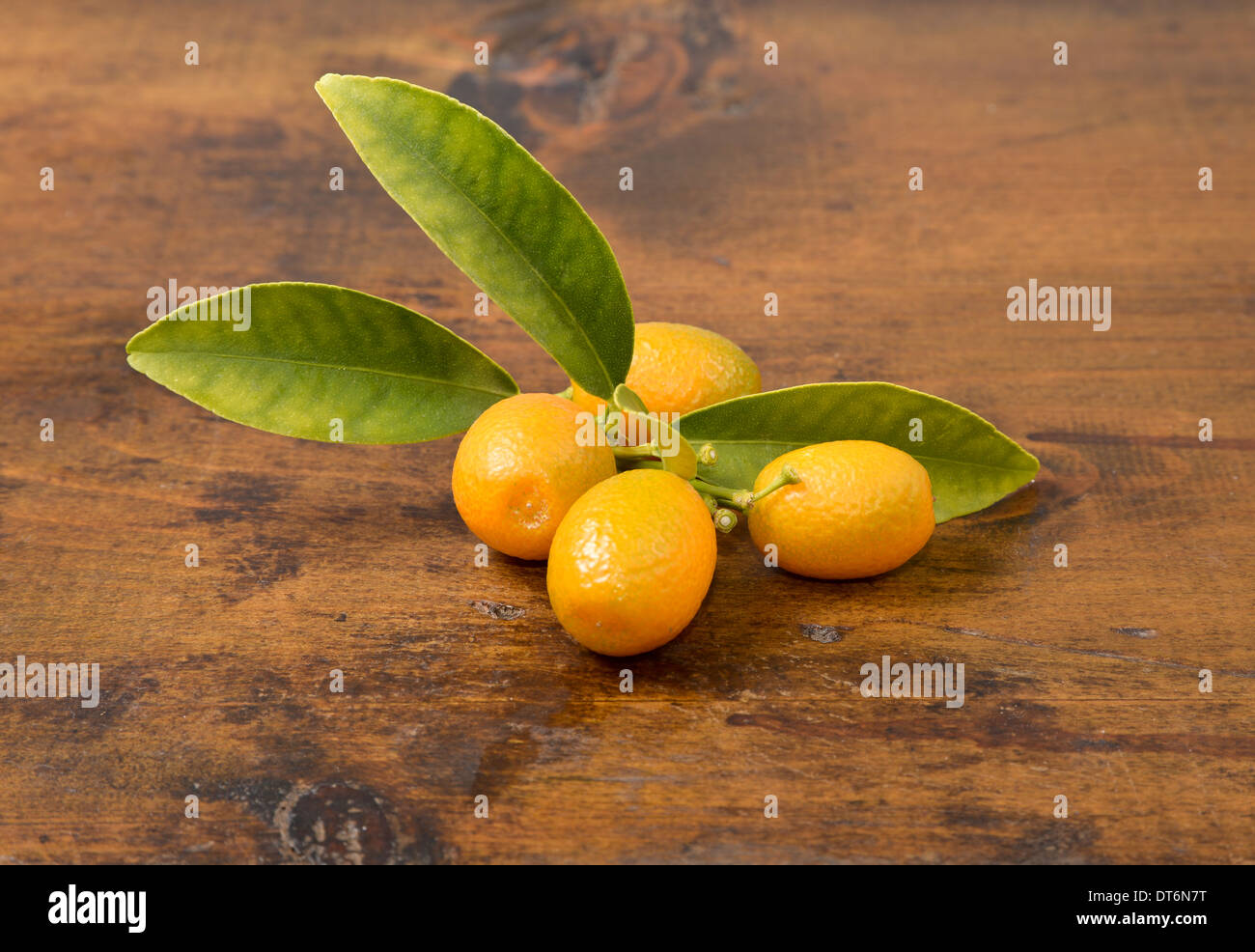 Japanese citrus fruit hi-res stock photography and images - Alamy