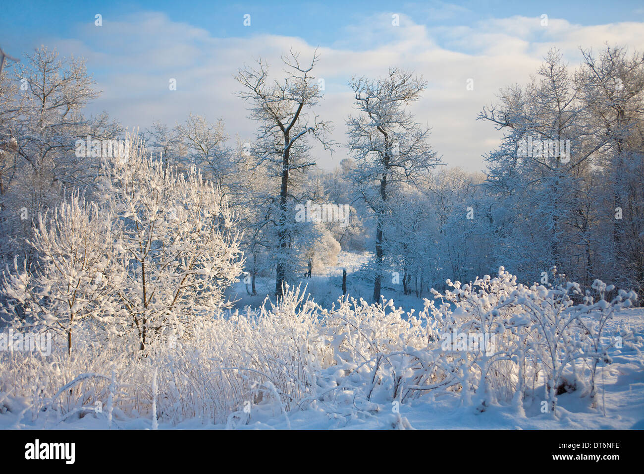 Russian winter landscape Stock Photo - Alamy