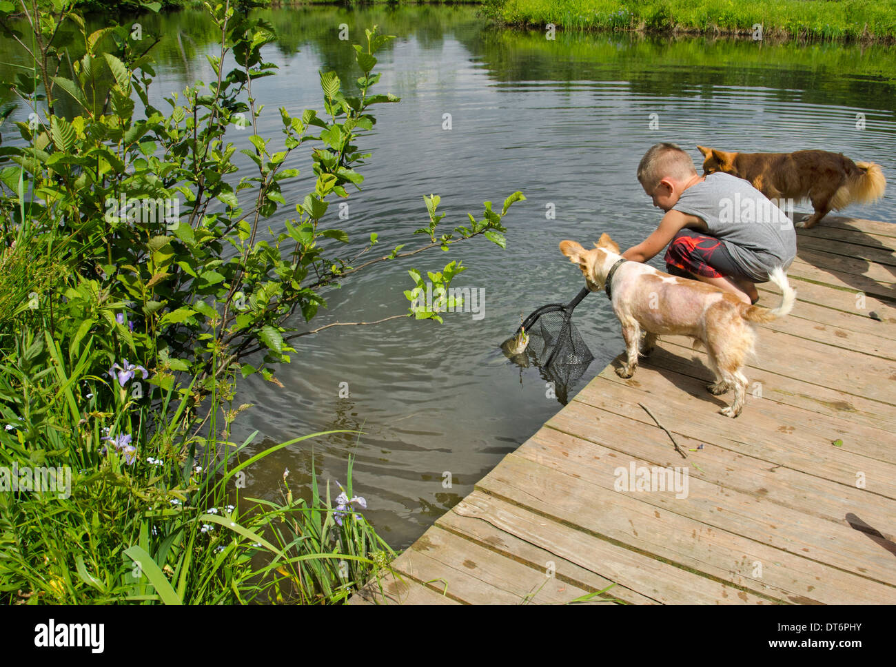 Boy catching fish fishing net hi-res stock photography and images - Alamy