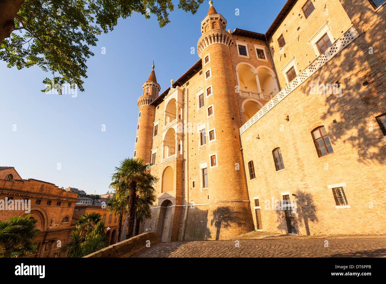 the Ducal Palace Urbino Umbria Italy Stock Photo - Alamy