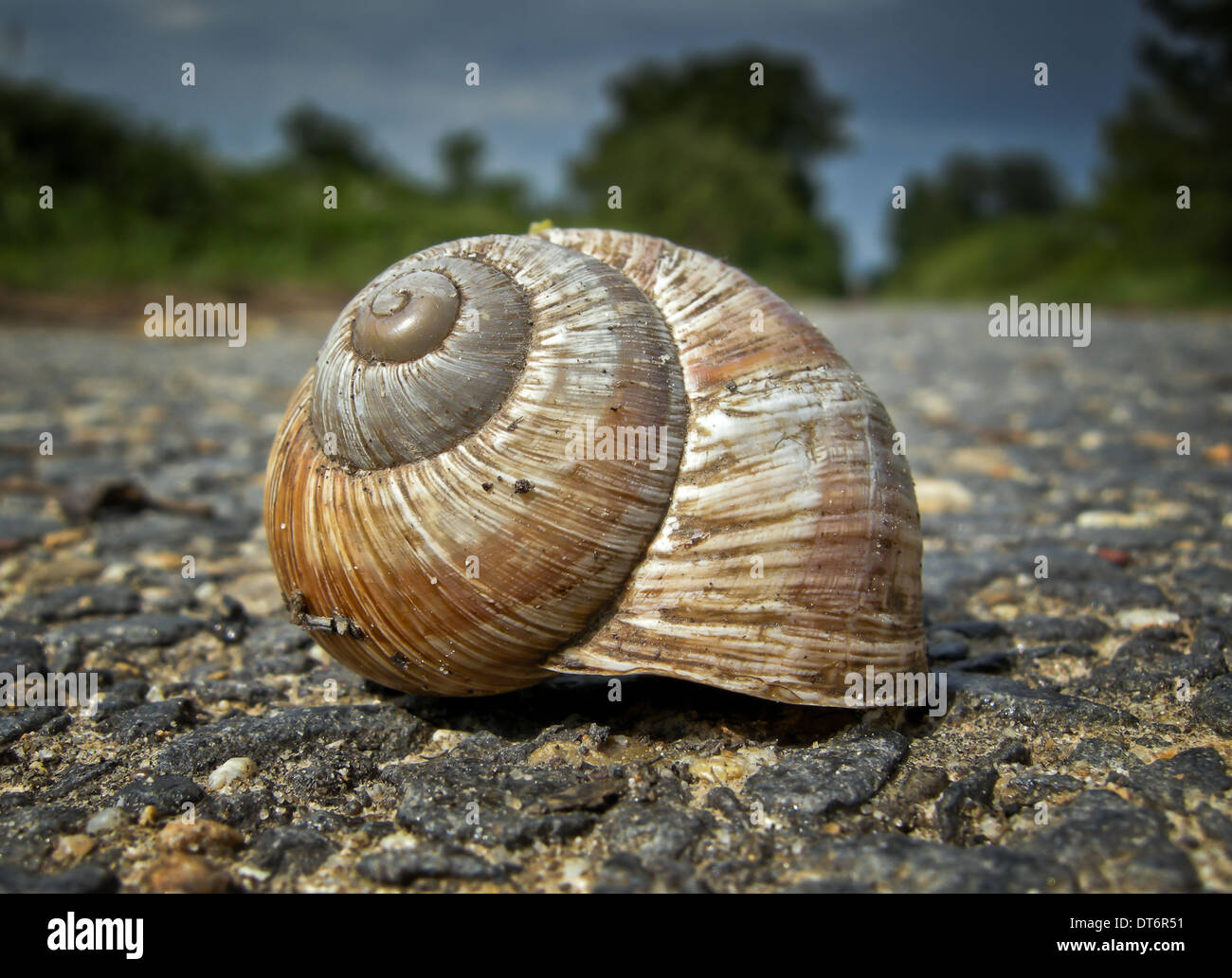 The big world hi-res stock photography and images - Alamy