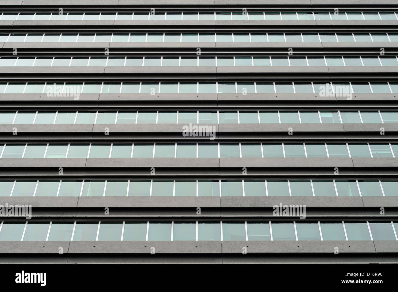Windows on tall office building Stock Photo - Alamy