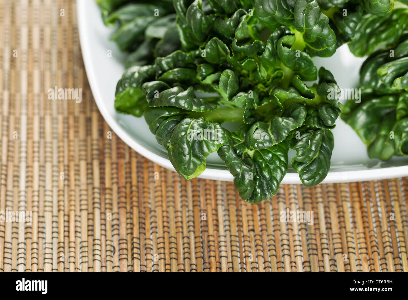 Horizontal photo of fresh Taku Choy vegetable on white plate with ...