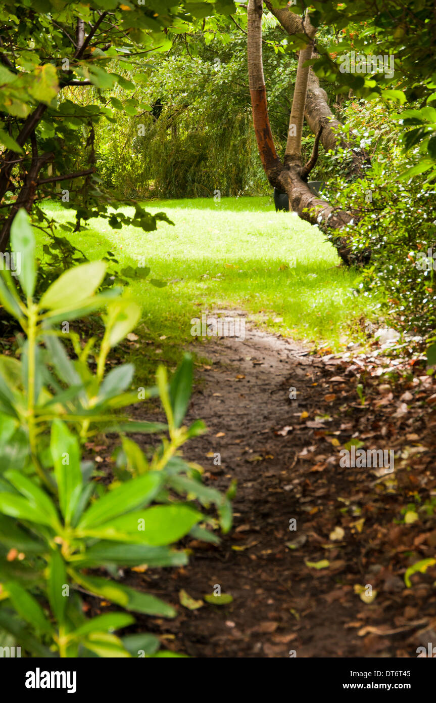 Footpath through trees and foliage in a park / countryside Stock Photo ...