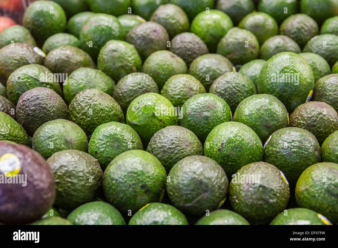 Avocados at the market Stock Photo - Alamy