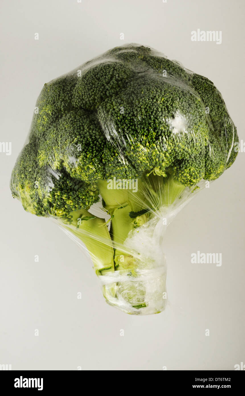 fresh broccoli cabbage in a plastic bag Stock Photo - Alamy
