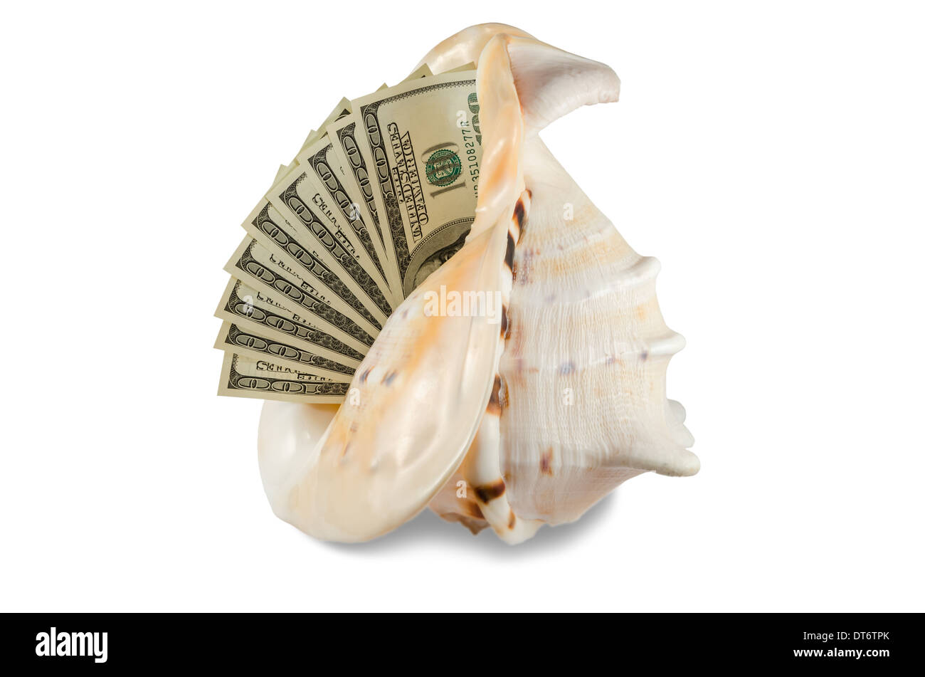 Shell money hi-res stock photography and images - Alamy